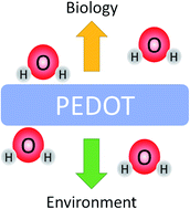 Recent advances in the aqueous applications of PEDOT - Nanoscale ...