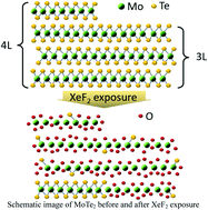 Modulation of electrical properties in MoTe2 by XeF2-mediated surface ...