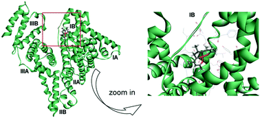 Interaction, binding capacity and anticancer properties of N,N′-bis ...
