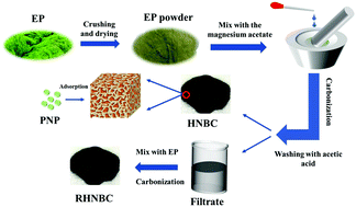 Hierarchical nano-porous biochar prepared by a MgO template method for ...