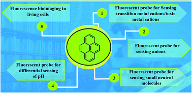 Pyrene based materials as fluorescent probes in chemical and biological ...