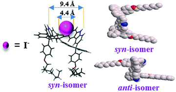Iodide ion receptors: shape-persistent macrocycles of syn/anti ...
