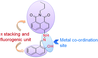 Naphthalimide-decorated imino-phenol: supramolecular gelation and ...