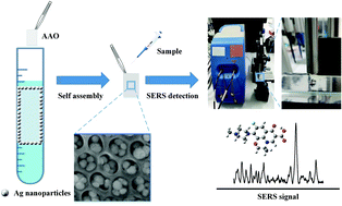 Fabrication of an AAO-based surface-enhanced Raman scattering substrate ...