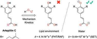 Insights into the mechanisms and kinetics of the hydroperoxyl radical ...