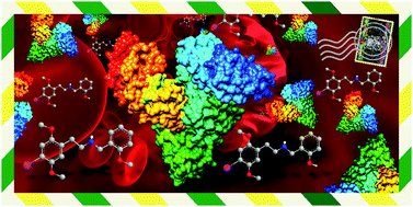 Recreational drugs 25I-NBOH and 25I-NBOMe bind to both Sudlow's sites I ...