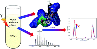 An experimental and computational look at the radiolytic degradation of ...