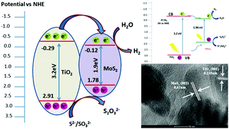 Efficient charge transfer on the tunable morphology of TiO2/MoS2 ...