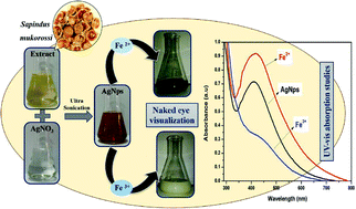 Distinctive detection of Fe2+ and Fe3+ by biosurfactant capped silver ...