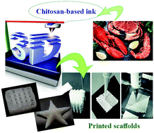 Current achievements in 3D bioprinting technology of chitosan and its ...