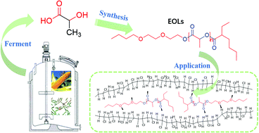 Synthesis of novel plasticizer ester end-capped oligomeric lactic acid ...