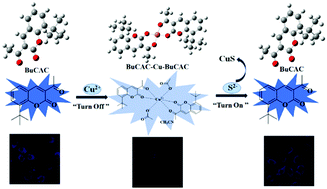A coumarin-based reversible fluorescent probe for Cu2+ and S2− and its applicability in vivo and ...