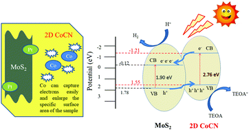 Construction of a 2D/2D heterojunction via integrating MoS2 on Co-doped ...