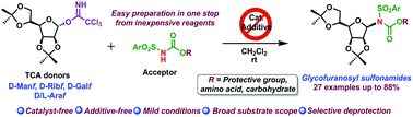 Direct N-glycosylation of tosyl and nosyl carbamates with ...