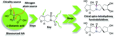 Smart and concise entry to chiral spiro[cyclopentane-indolizidine ...