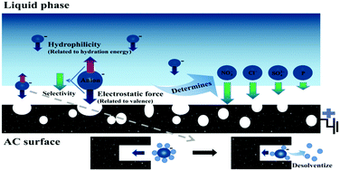 The mechanism and regulation of the electrosorption selectivity of ...