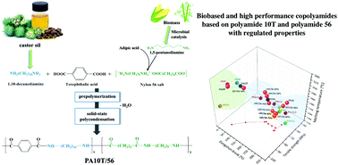 Synthesis and properties of biobased copolyamides based on polyamide ...