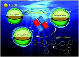 Magnetic poly-o-vanillin-functionalized core–shell nanomaterials as a ...
