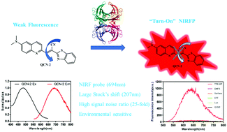 A quinoline–benzothiazole hybrid as the first near-infrared fluorescent probe for transthyretin ...