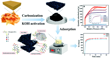 Hierarchical porous biochar with ultra-high specific surface area for ...