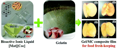 Preparation of eco-friendly composite food packaging films based on ...