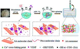 Design for dynamic hydrogen bonding in a double network structure to ...