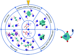 The role of mono- and dicarboxylic acids in the building of ...