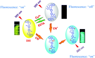 A novel highly sensitive dual-channel chemical sensor for sequential ...