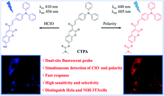 A novel dual-site ICT/AIE fluorescent probe for detecting hypochlorite ...