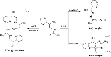 Synthesis, structures, and DFT analysis of gold complexes containing a ...