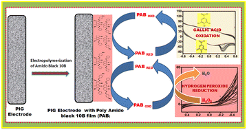 Electrochemical sensor for the non-enzymatic reduction of hydrogen ...
