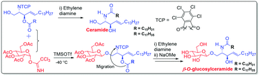Total synthesis of ceramides and β-O-glucosylceramides via ...