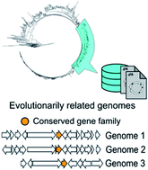 The confluence of big data and evolutionary genome mining for the ...