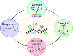 Biosynthesis, evolution and ecology of microbial terpenoids - Natural ...