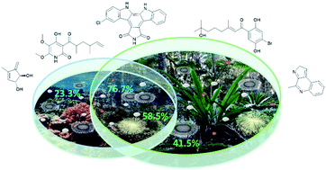 How different are marine microbial natural products compared to their ...