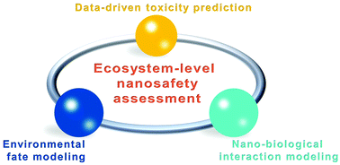 In silico nanosafety assessment tools and their ecosystem-level ...
