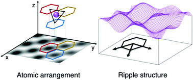 Quasi-static 3D structure of graphene ripple measured using aberration ...