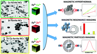 Di- and tri-component spinel ferrite nanocubes: synthesis and their comparative characterization ...