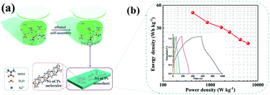 Facile assembly of 2D Ni-based coordination polymer nanosheets as ...