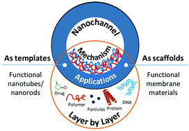 Layer-by-layer assembly in nanochannels: assembly mechanism and ...