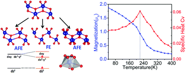 Unconventional distortion induced two-dimensional multiferroicity in a ...