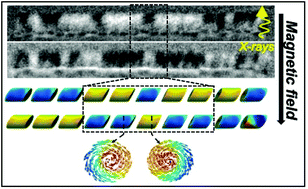 Stochastic vs. deterministic magnetic coding in designed cylindrical ...