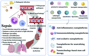 Recent advancements of nanomaterial-based therapeutic strategies toward ...