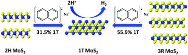 MoS2 stacking matters: 3R polytype significantly outperforms 2H MoS2 ...