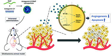 Intranasal delivery of self-assembled nanoparticles of therapeutic ...