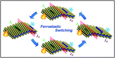 Two-dimensional ferroelasticity and ferroelastic strain controllable anisotropic transport ...