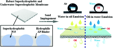 A robust surface with superhydrophobicity and underwater ...