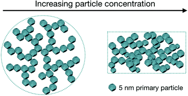 The effect of salt and particle concentration on the dynamic self ...