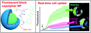 Kinetically stable sub-50 nm fluorescent block copolymer nanoparticles ...