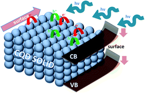 Surface band bending and carrier dynamics in colloidal quantum dot ...